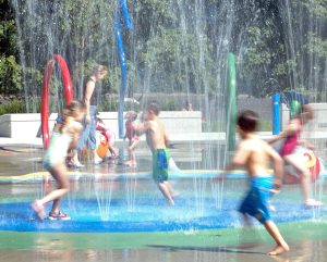 IPS Controllers ORP and PH Controllers Pool Water Chemistry Balance